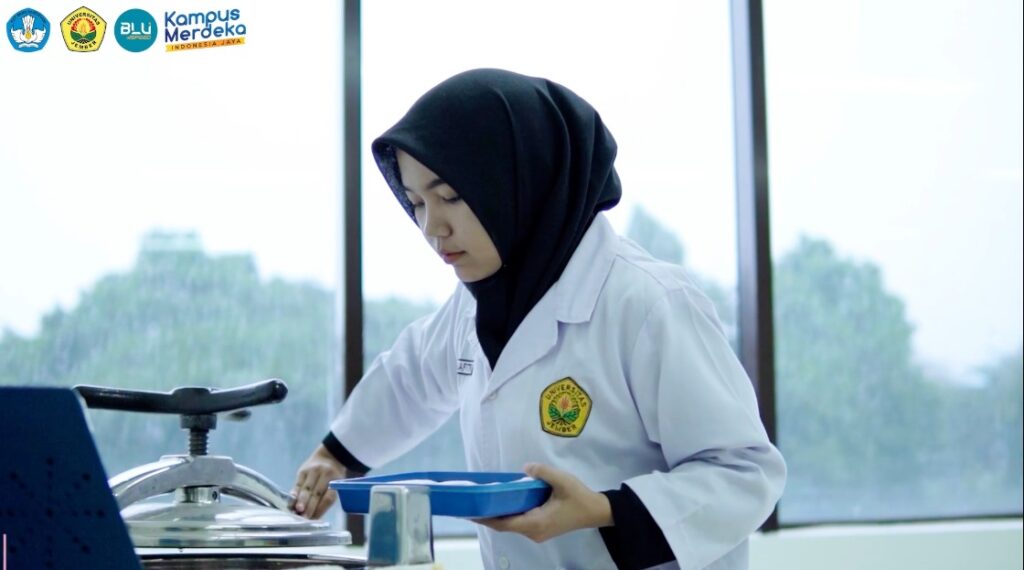 Bachelor in Agrotechnology – International Offce