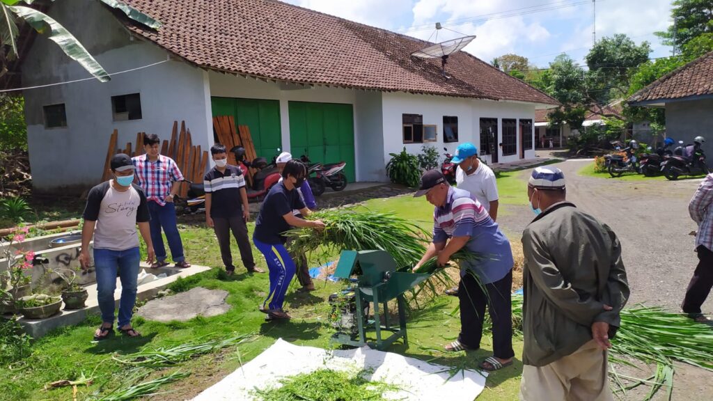 Bachelor in Agrotechnology – International Offce